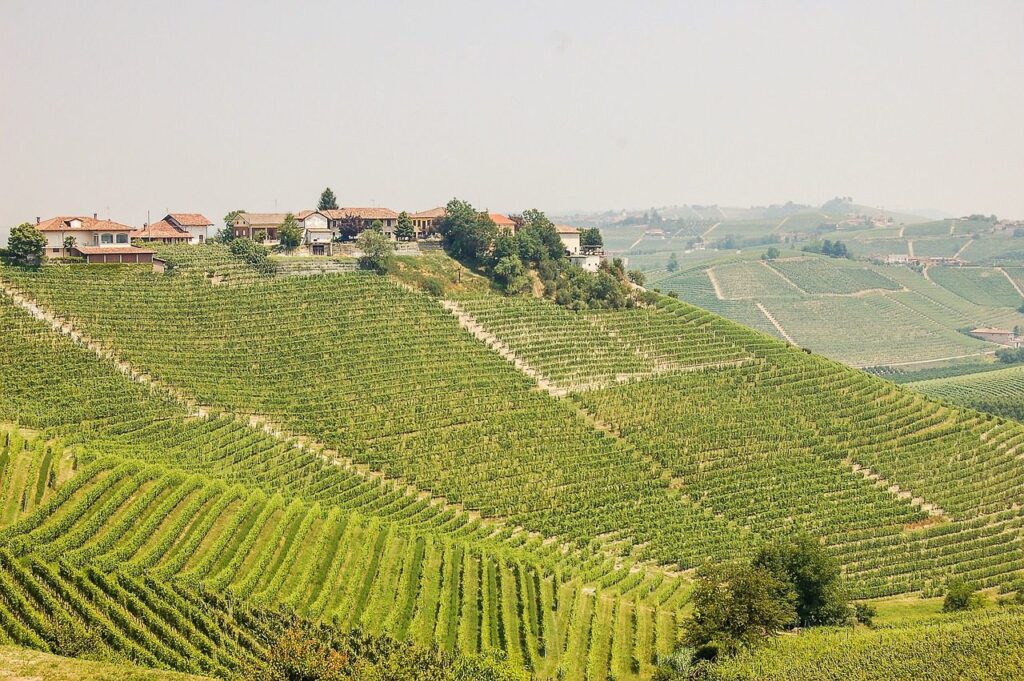 Piemonte (Piedmont) Wine Region, Italy | Corked News