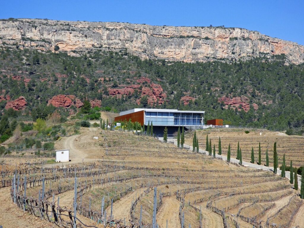 Priorat Wine Region, Spain | Corked News